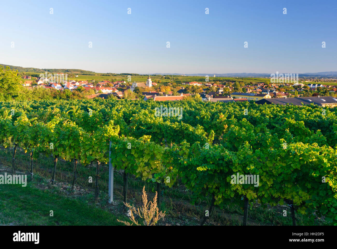 Straß im Straßertale: View of Straß in the Straßertale - wine region ...