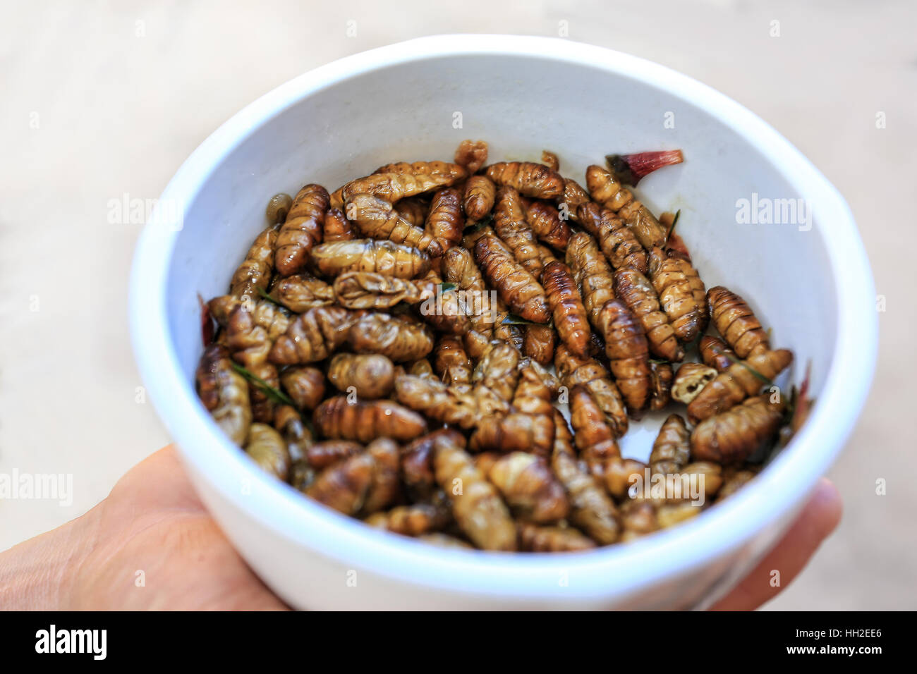 Fried silkworm pupa Thai food Stock Photo - Alamy