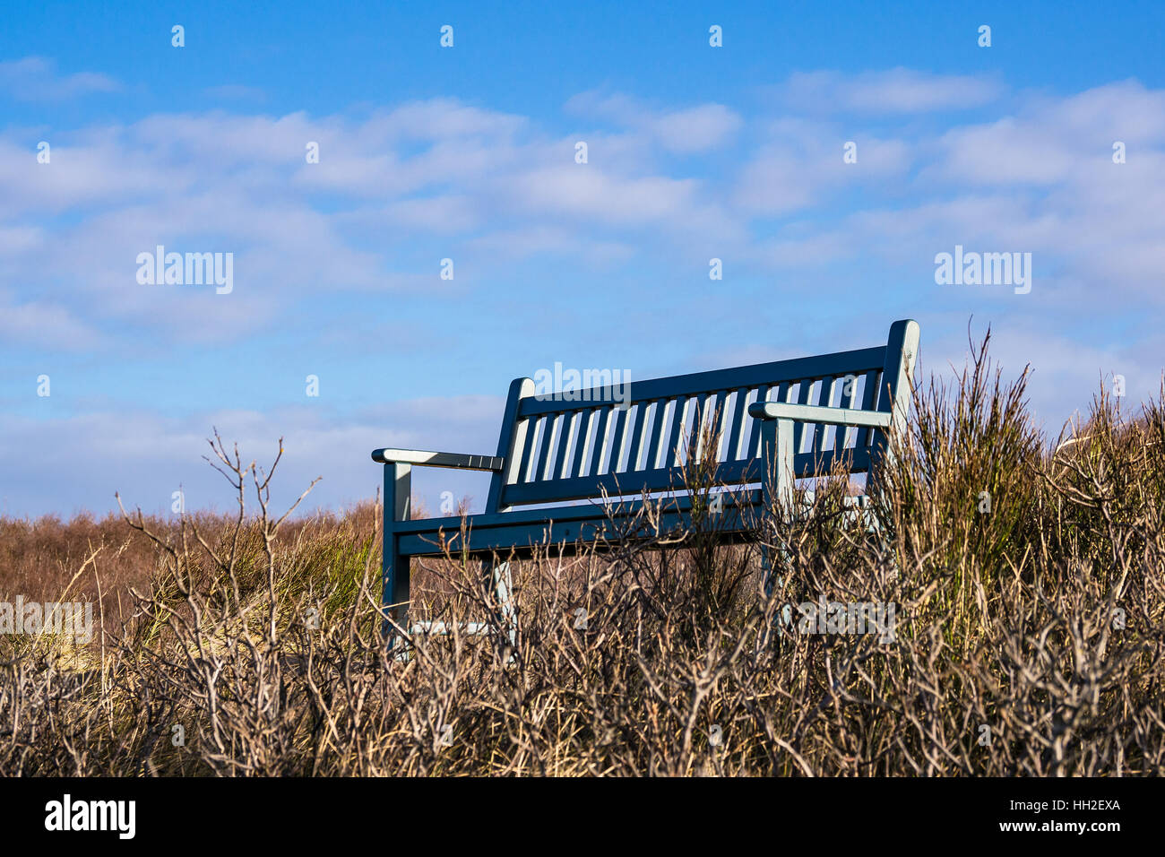A bench on shore of the Baltic Sea Stock Photo - Alamy