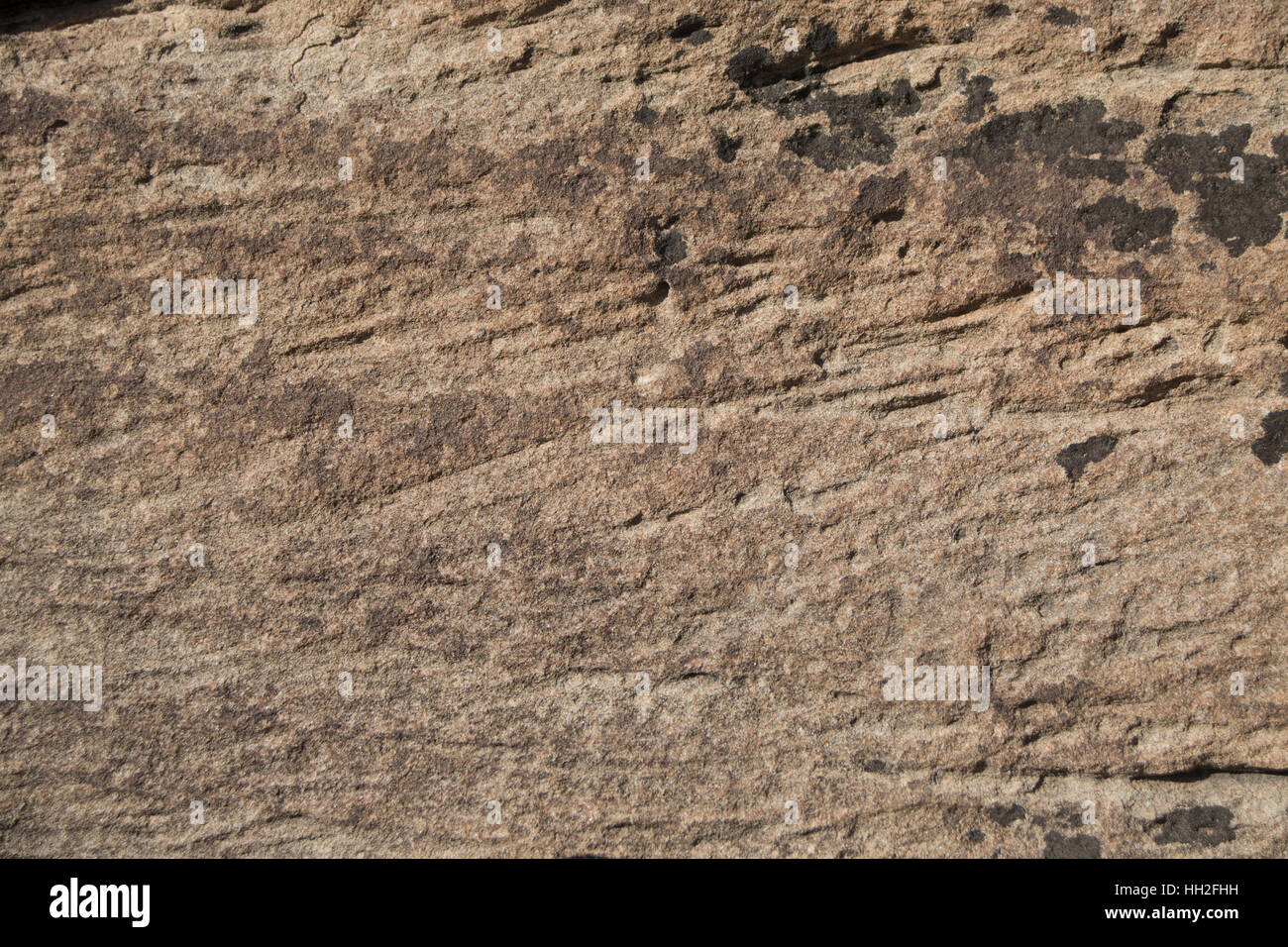 Rough texture of a sandstone rock in the desert of western Colorado ...