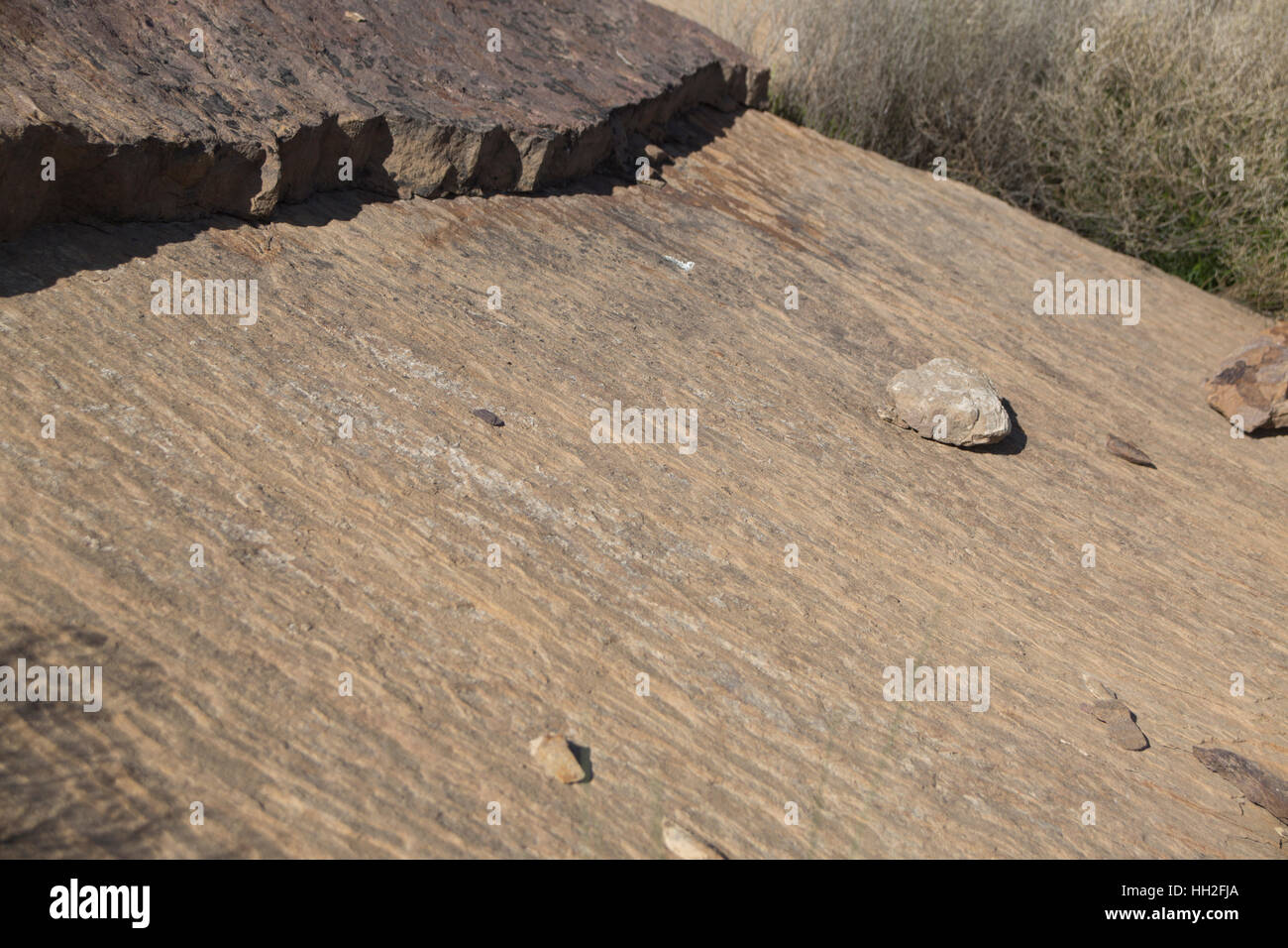 Wavy textured sandstone in the desert of western Colorado Stock Photo ...