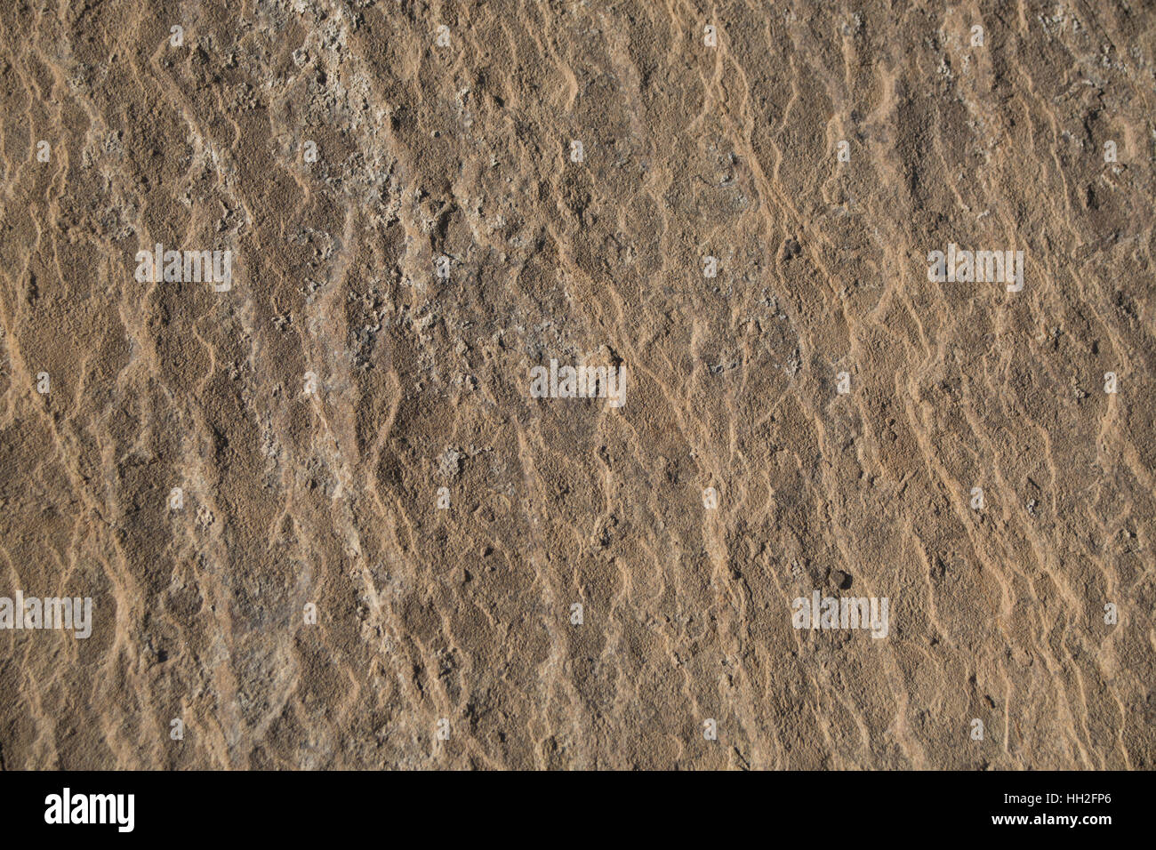 Wavy textured sandstone in the desert of western Colorado Stock Photo ...