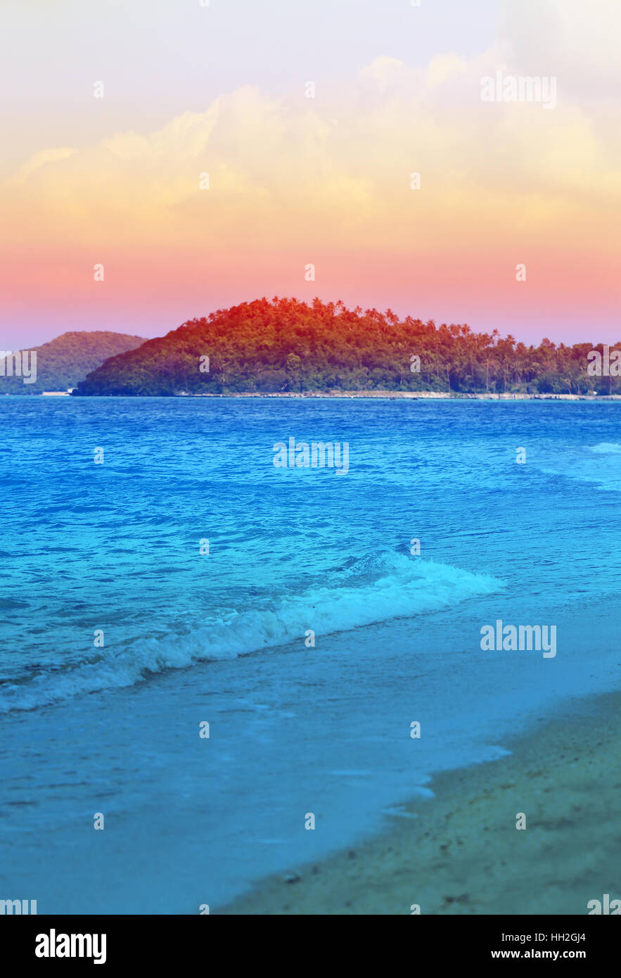 Photos landscape exotic coast of the island with palm trees Stock Photo ...