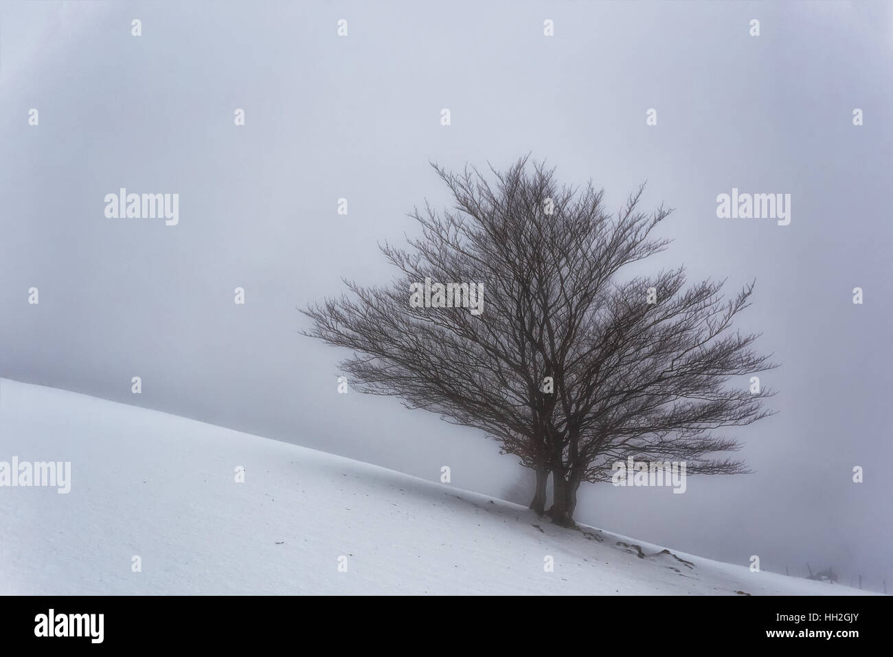 First snow storm of the year Stock Photo - Alamy