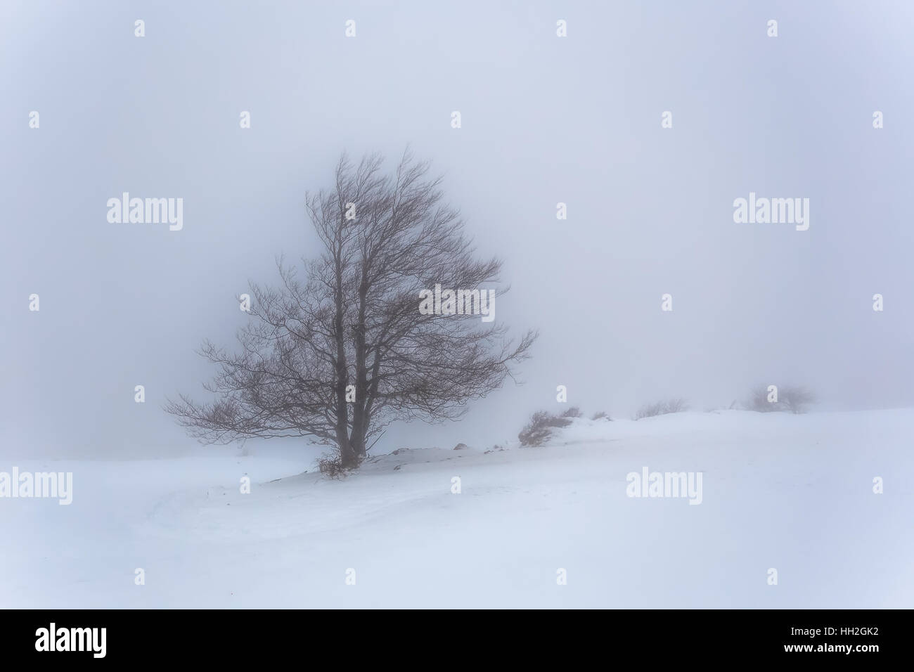 First snow storm of the year Stock Photo - Alamy