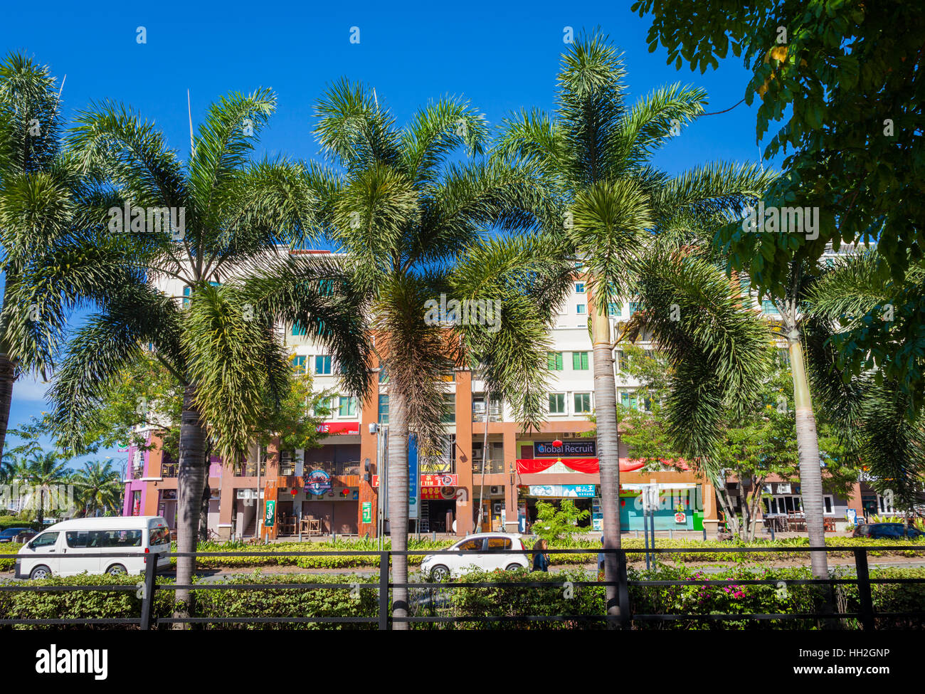 Street scene in Kota Kinabalu, Sabah, Malaysian Borneo with palm trees ...
