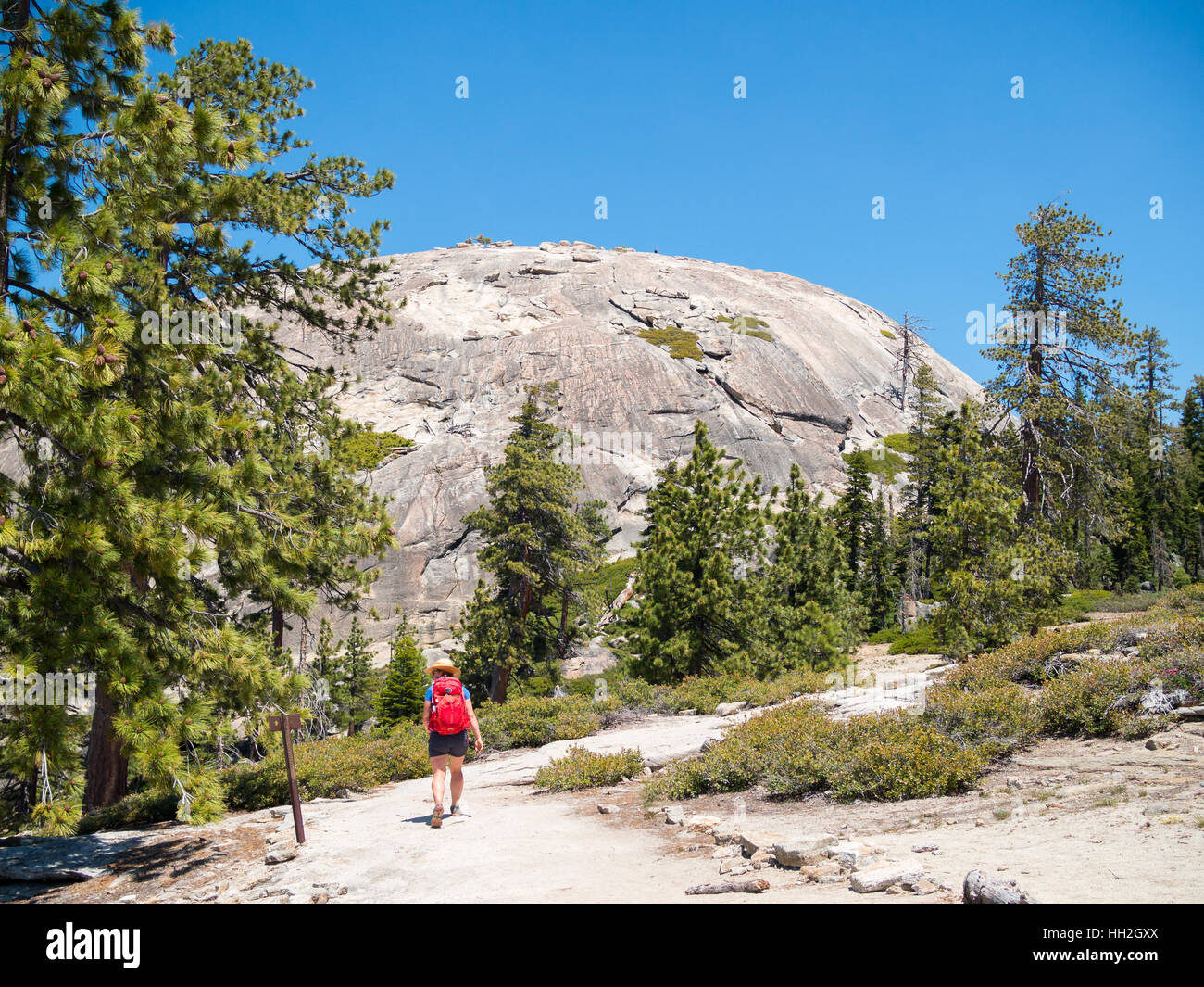 Sentinel trees hi-res stock photography and images - Alamy