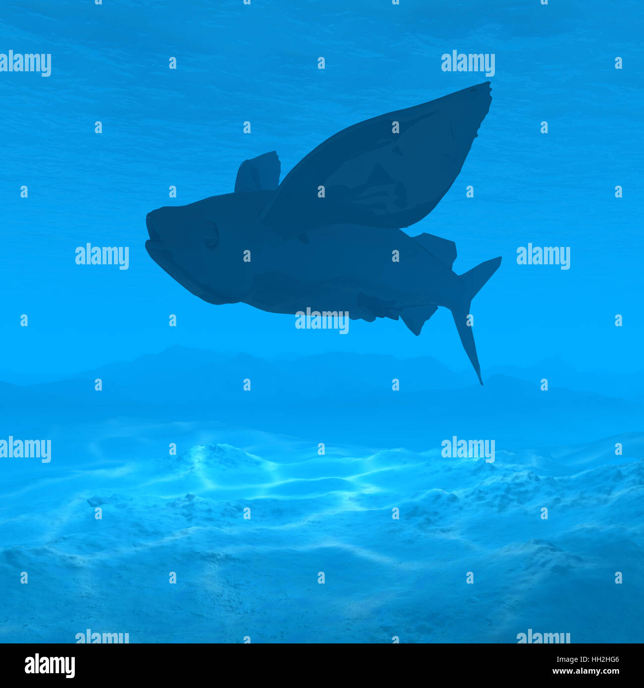 Flyingfish hi-res stock photography and images - Alamy