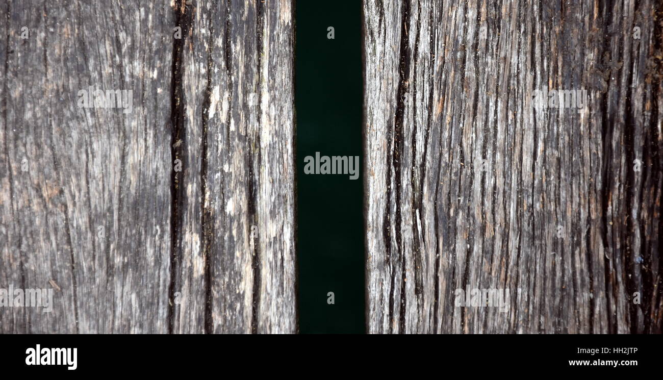 Wood pier, abstract texture of a natural gray. View of old weathered ...