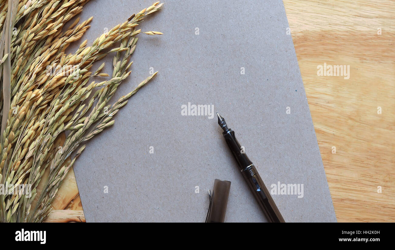 Empty brown paper and fountain pen with paddy rice on wood workplace ...