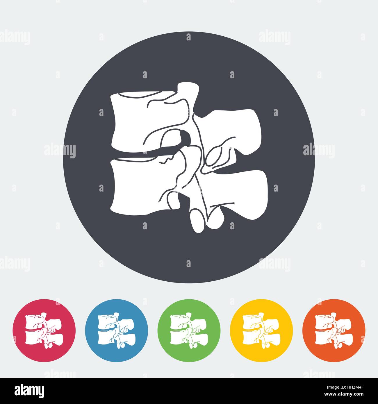 Anatomy spine. Single flat icon on the circle. Vector illustration ...