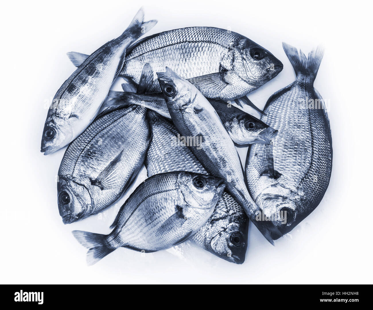 Saltwater fishes food fishes hi-res stock photography and images - Alamy