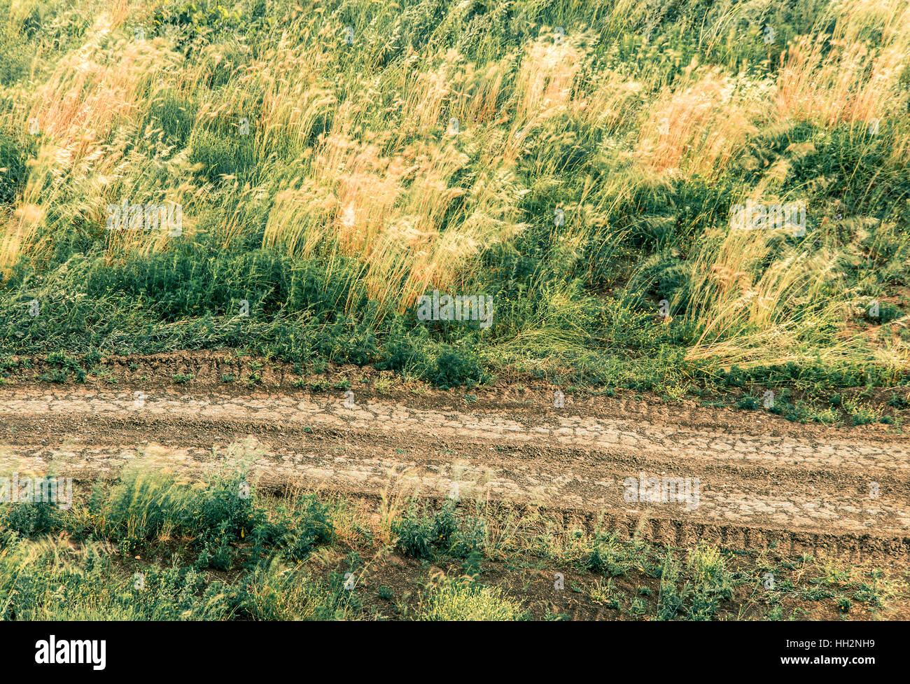 earth-road along wilderness Stock Photo - Alamy