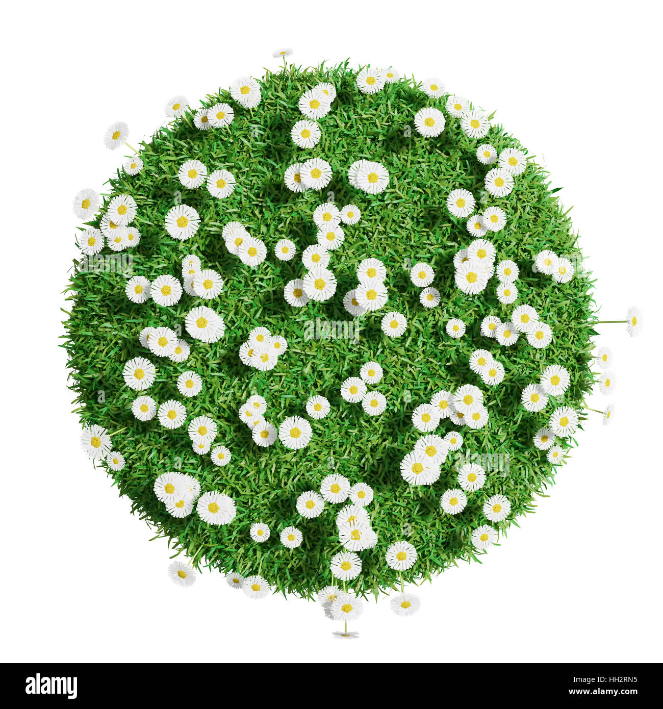 Natural grass arena with flowers Stock Photo - Alamy