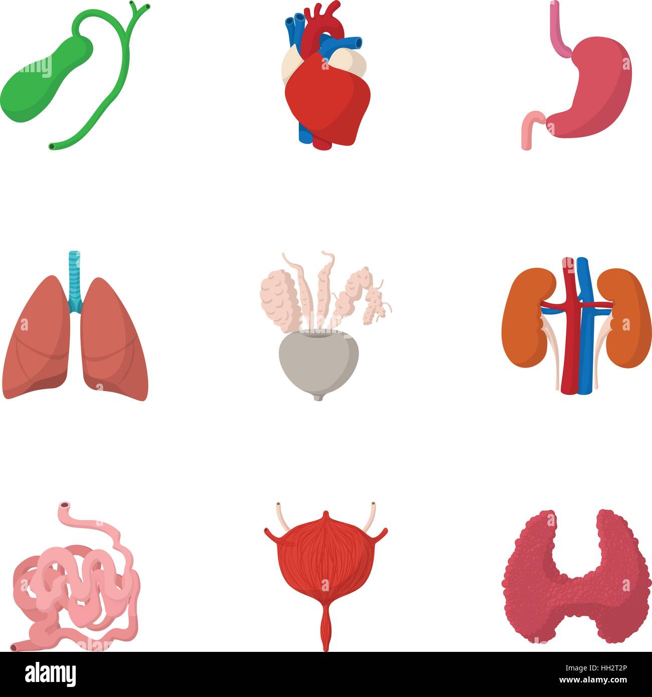 Bodies icons set, cartoon style Stock Vector Image & Art - Alamy Bodies icons set, cartoon style Stock Vector Image & Art - Alamy