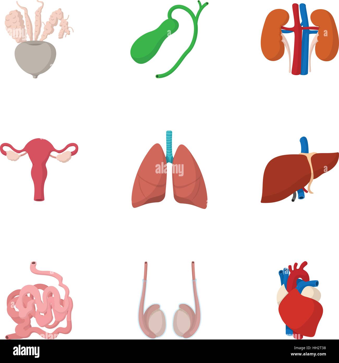 Structure of human icons set, cartoon style Stock Vector Image & Art ...