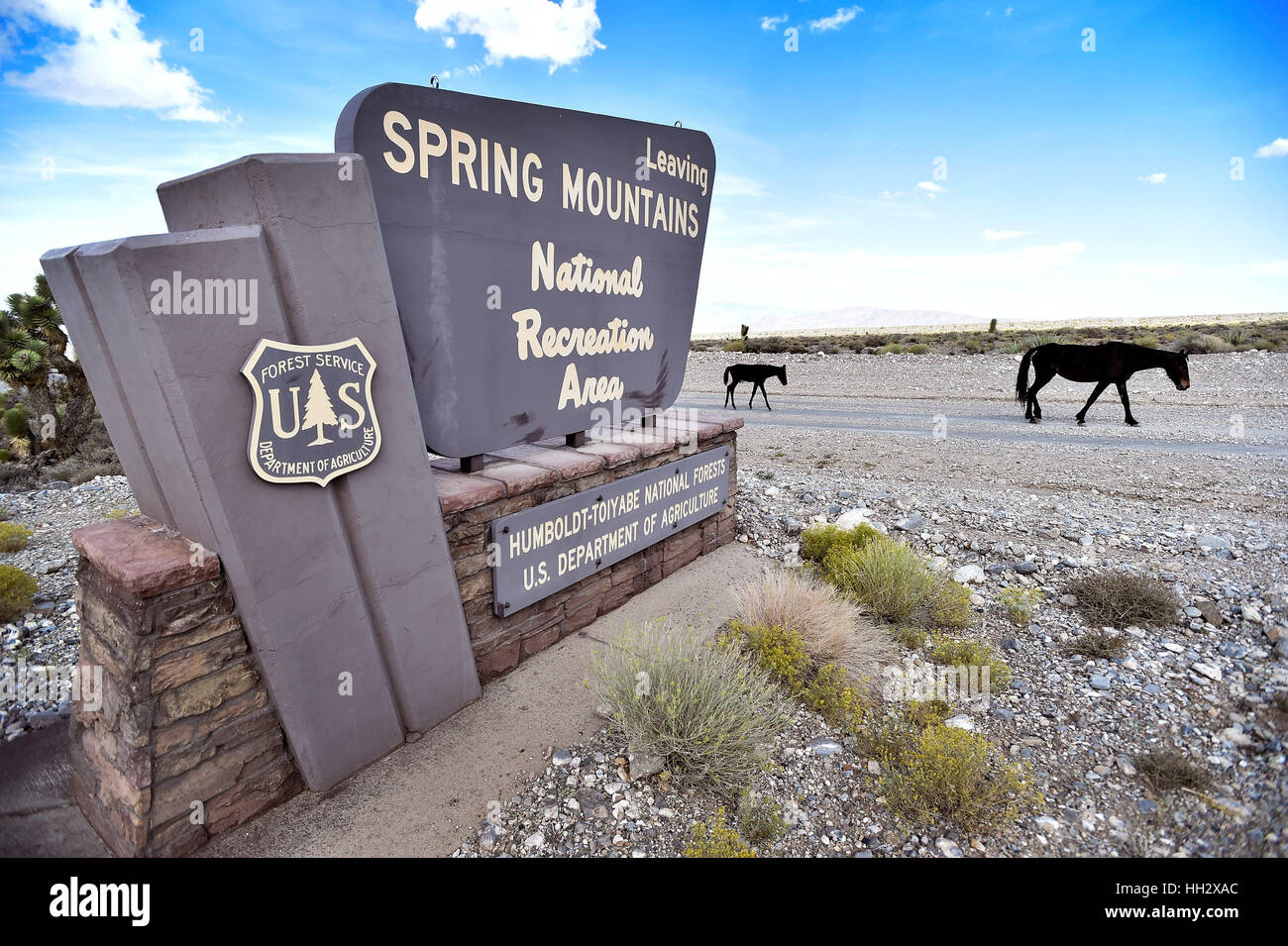Cold Creek, Nevada, USA. 28th Aug, 2015. A young foal and mare travel ...