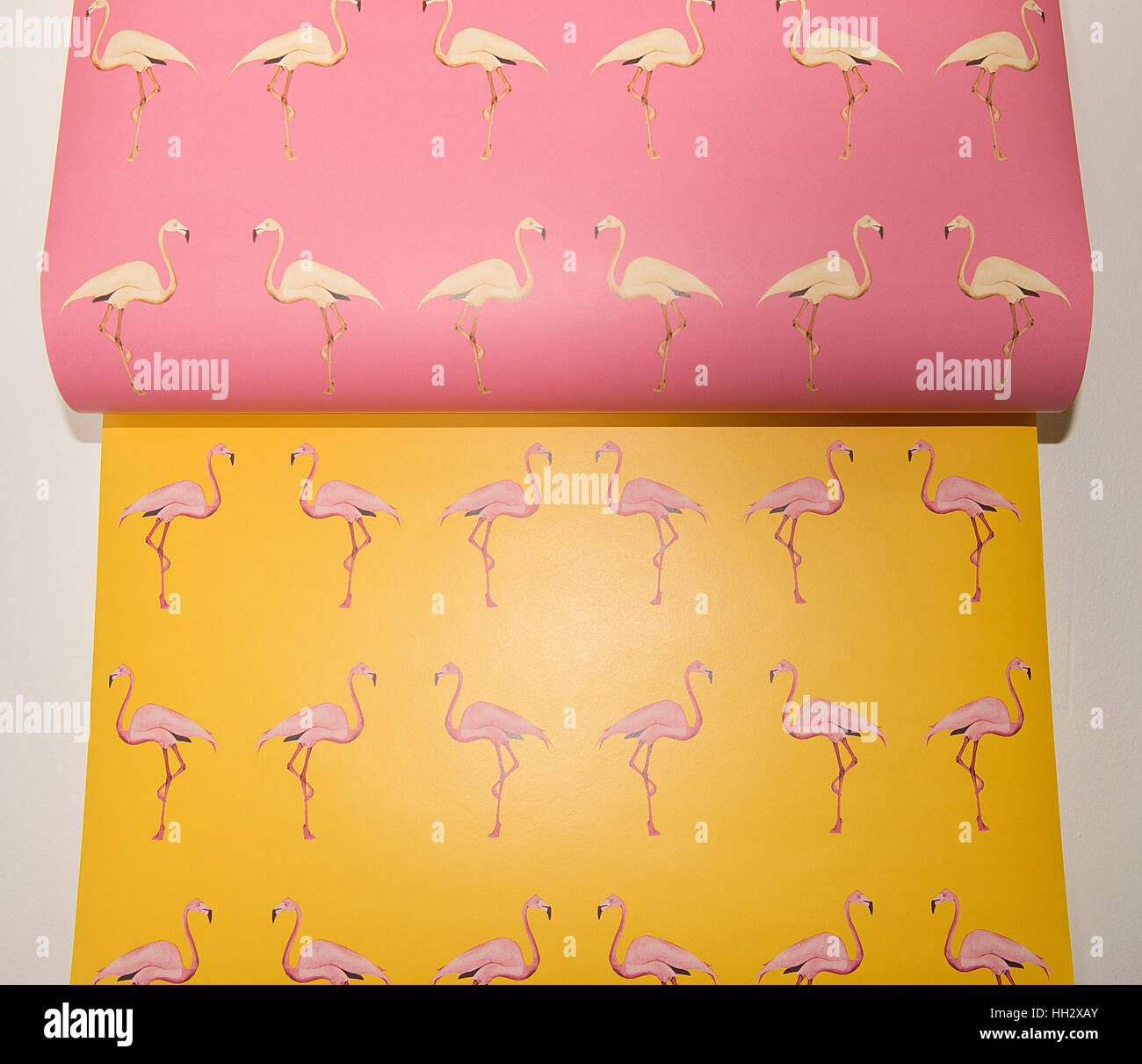 Flamingo wallpapers hi-res stock photography and images - Alamy