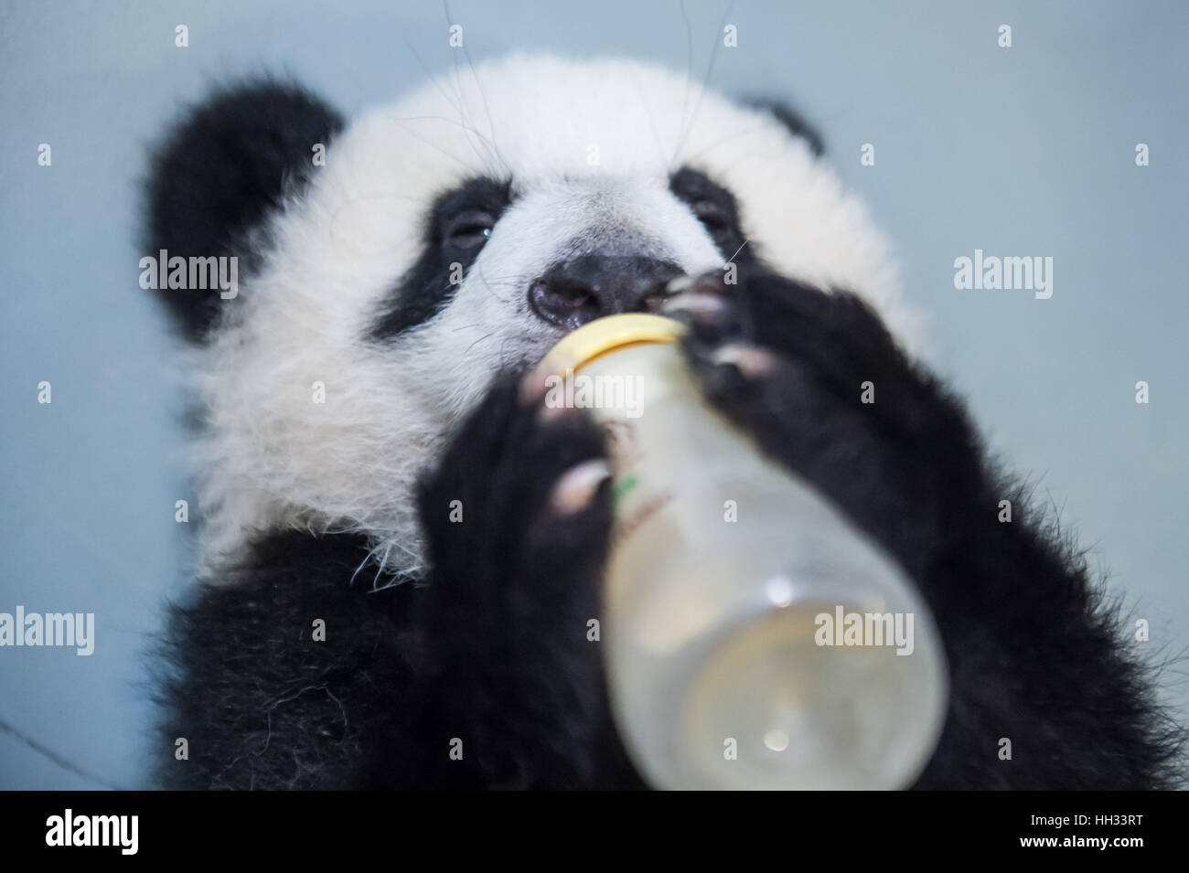 Fomula hi-res stock photography and images - Alamy