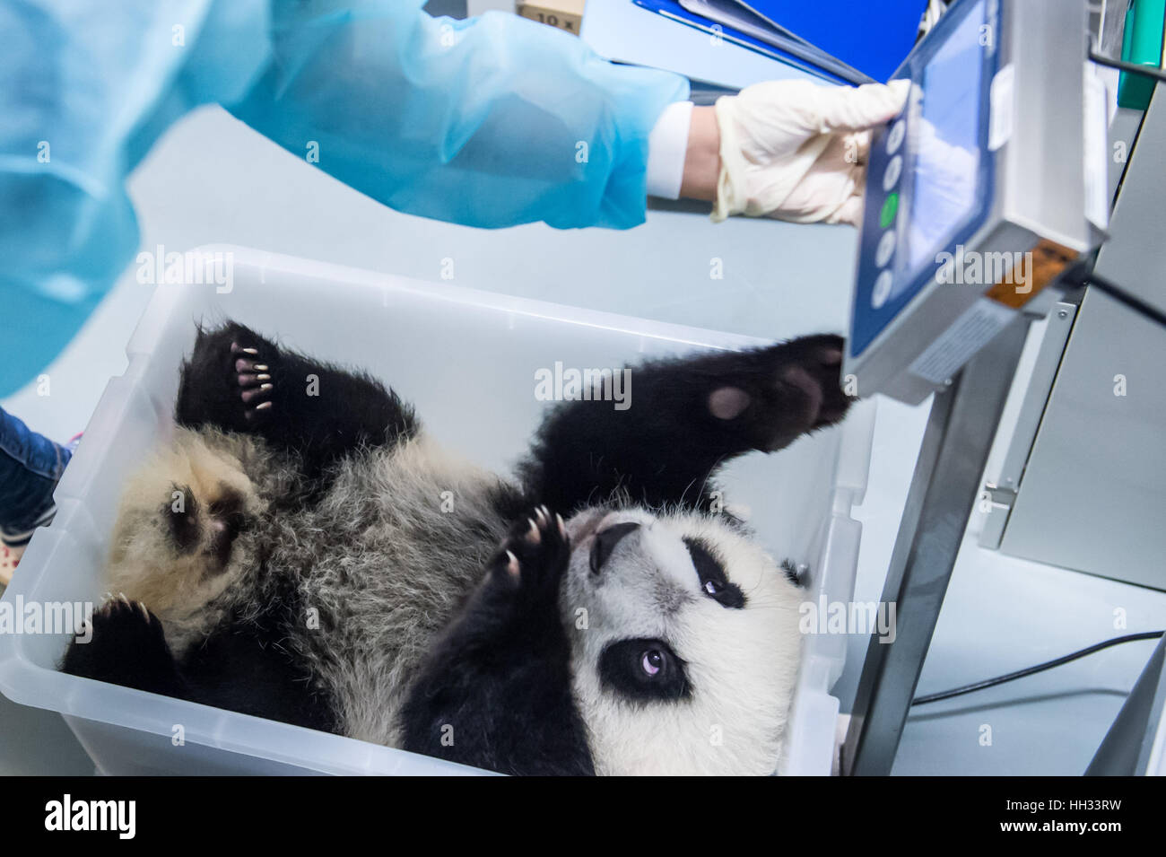 Meet the keeper hi-res stock photography and images - Alamy