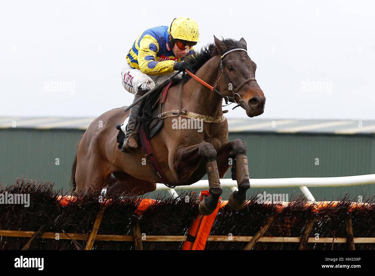 National hunt racing hi-res stock photography and images - Alamy