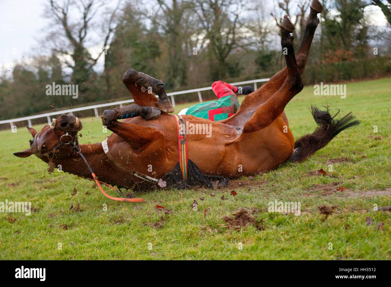 Horse National Hunt Race Uk High Resolution Stock Photography and ...