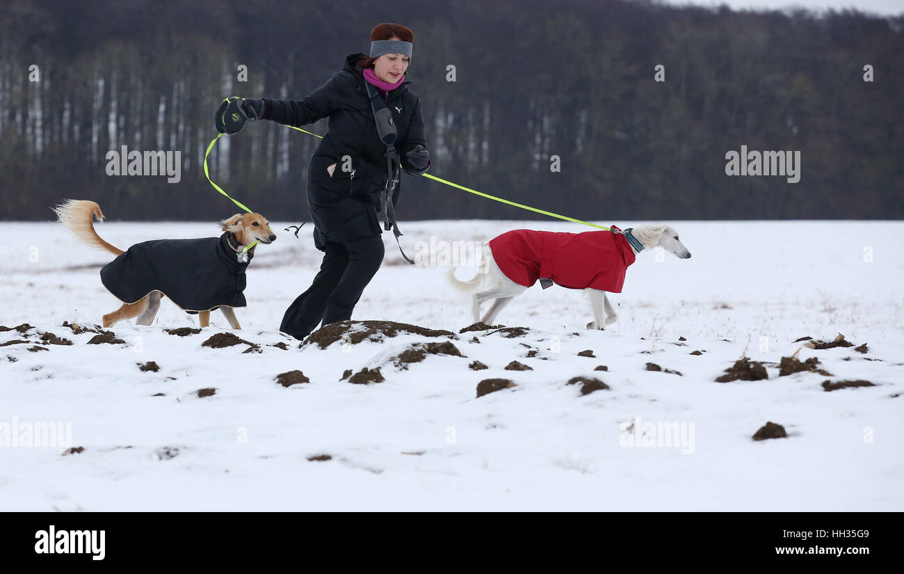 Huldstetten, Germany. 12th Jan, 2017. Dagnmar Renner and her Persian ...