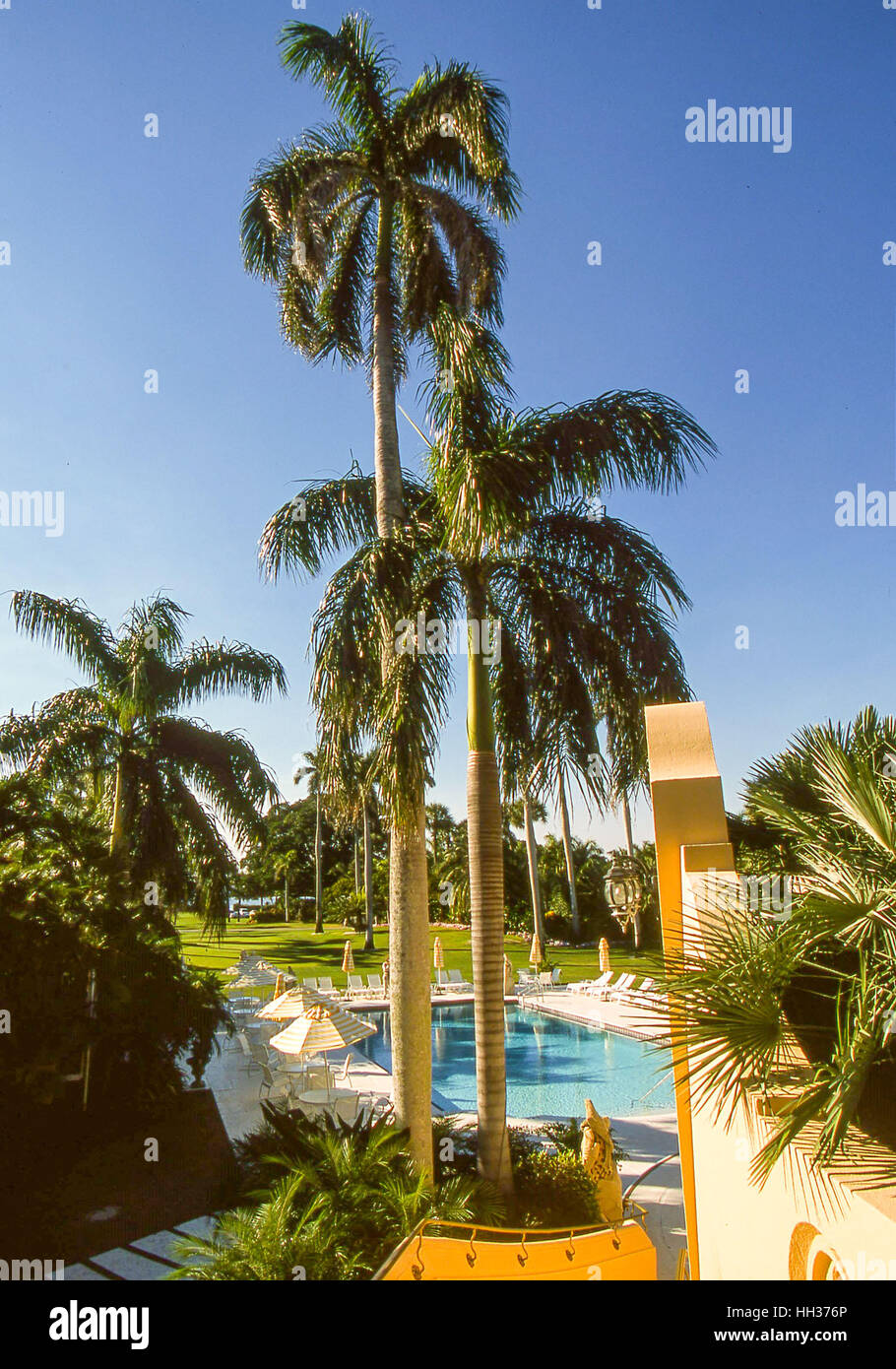 Mar a lago pool hi-res stock photography and images - Alamy
