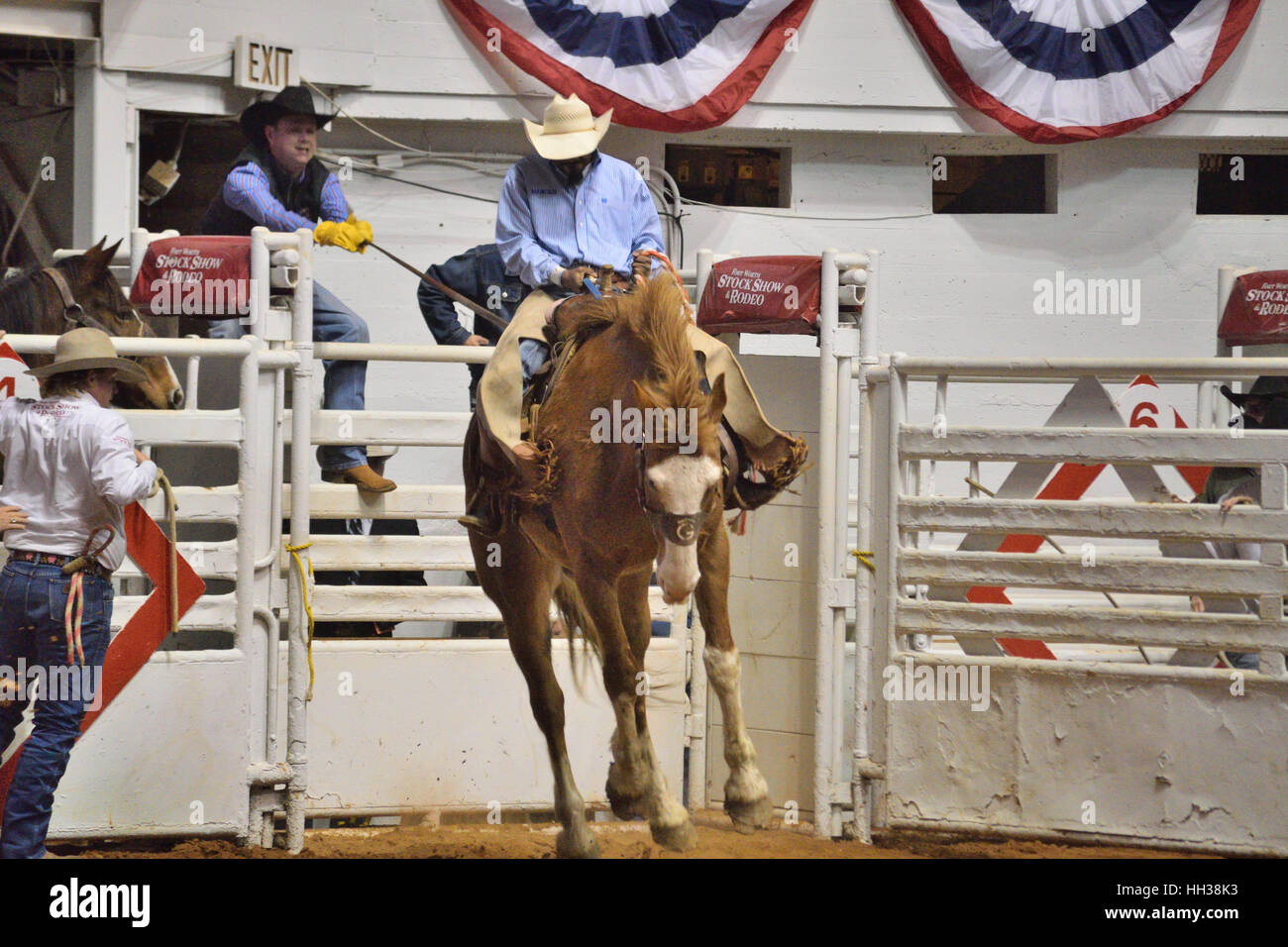 Fort Worth, USA. 16th January, 2017. A bronc rider begins his ride at ...