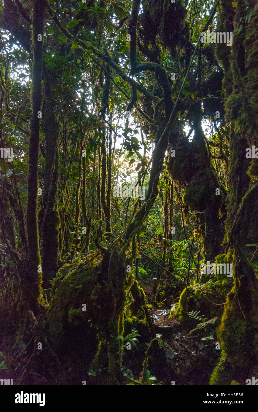 Beautiful Rain Scenes