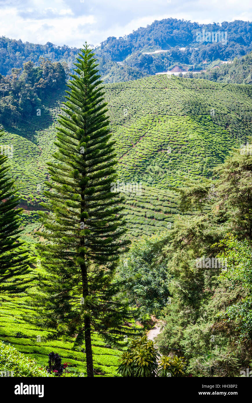 Malaysia scenery hi-res stock photography and images - Alamy