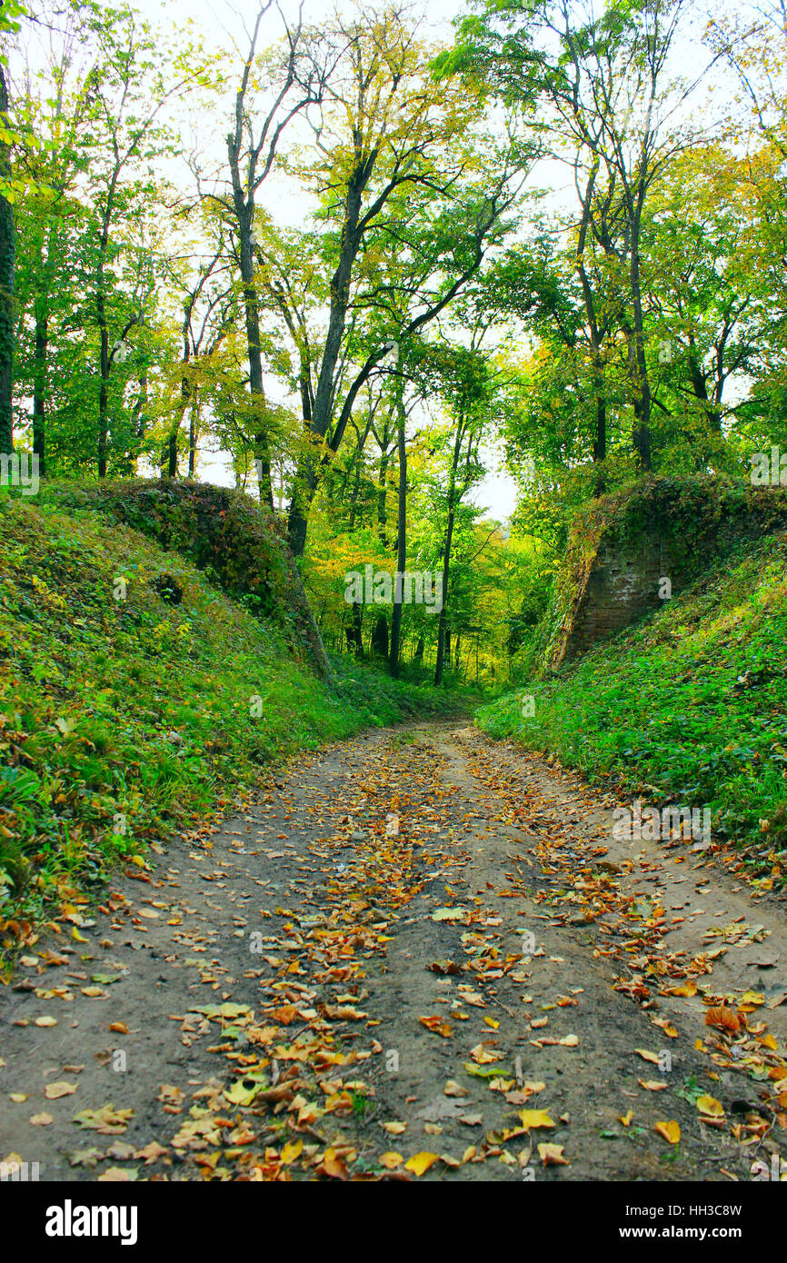 promenade road in the beautiful park with ruined arch bridge in ...