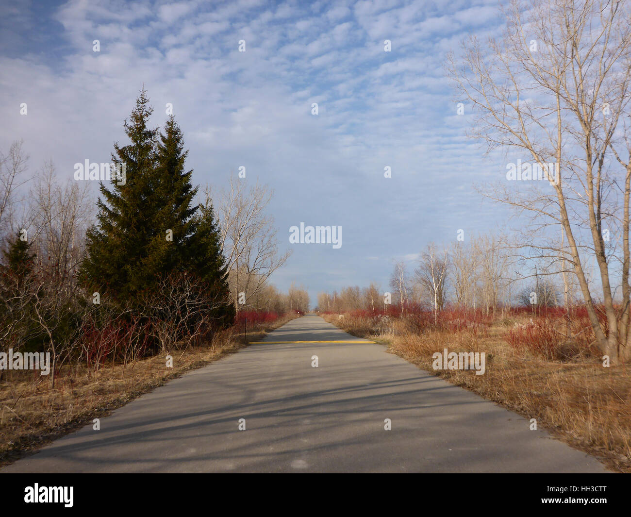 Empty road in a park in the fall Stock Photo - Alamy