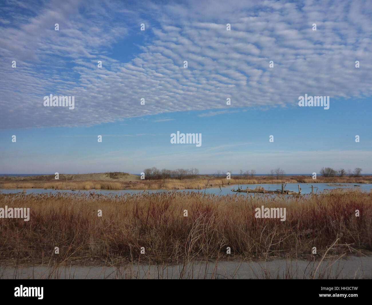 Wetlands in the fall Stock Photo - Alamy