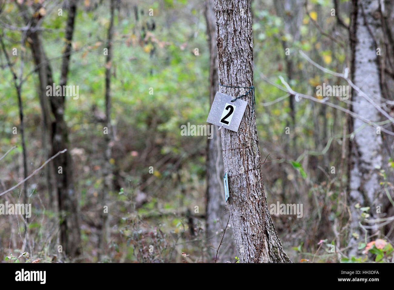 hunting stand number Stock Photo - Alamy