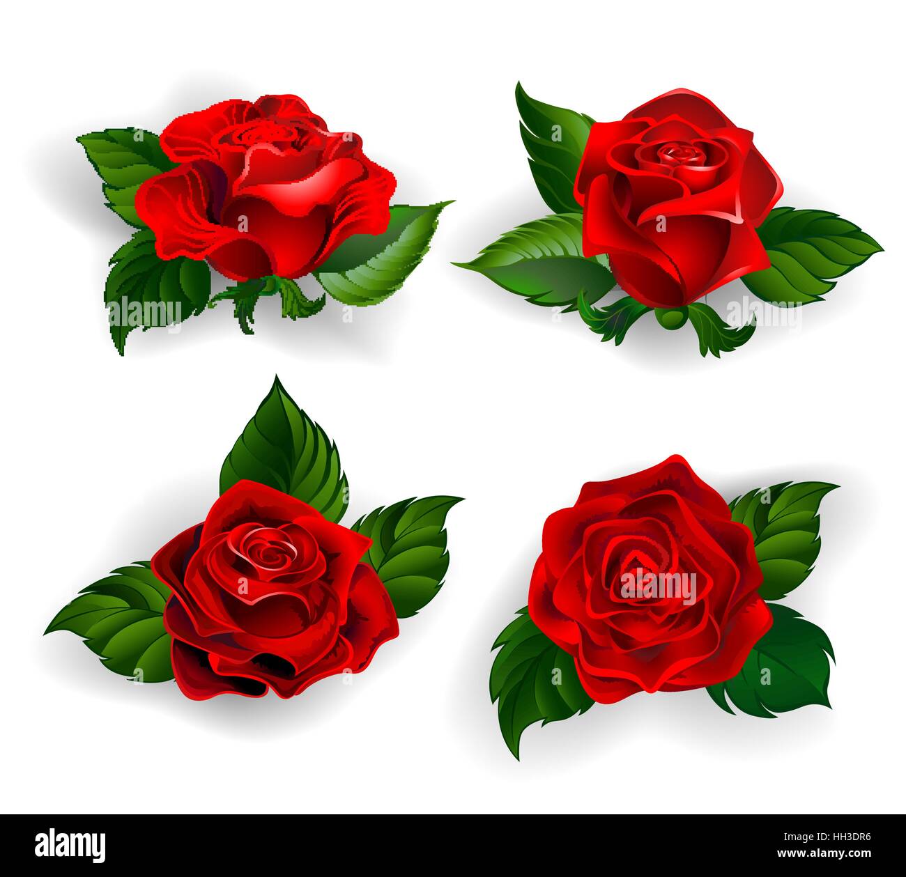 Shiny red roses Stock Vector Images - Alamy