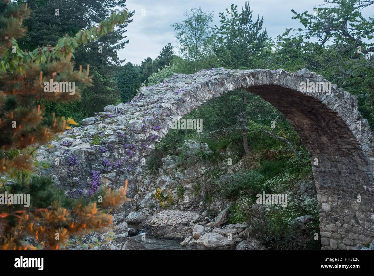 Stone bridge Scotland Stock Photo - Alamy