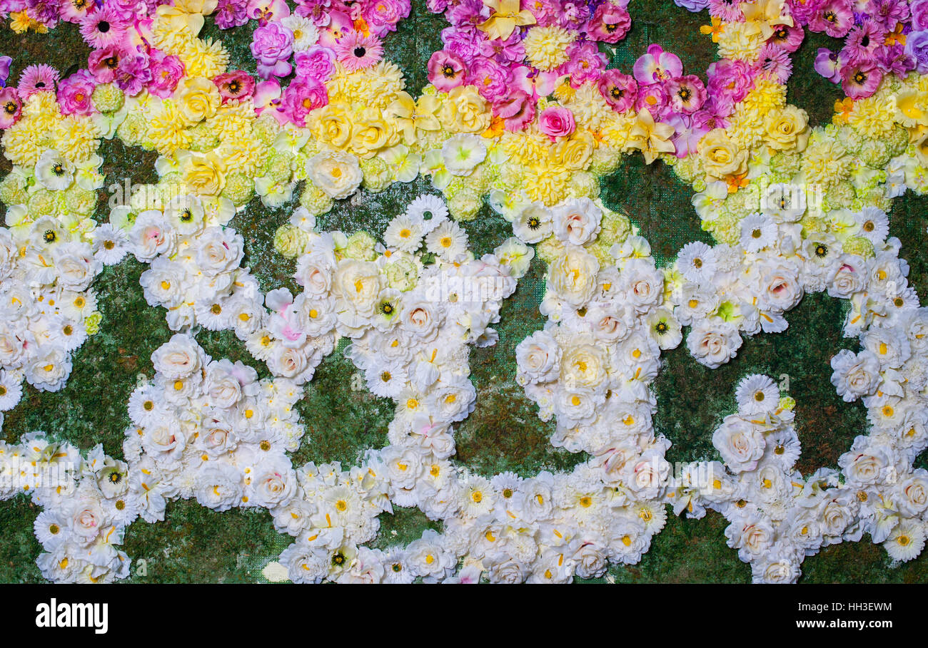 texture on a flowerbed of colorful flowers in the Park Stock Photo - Alamy