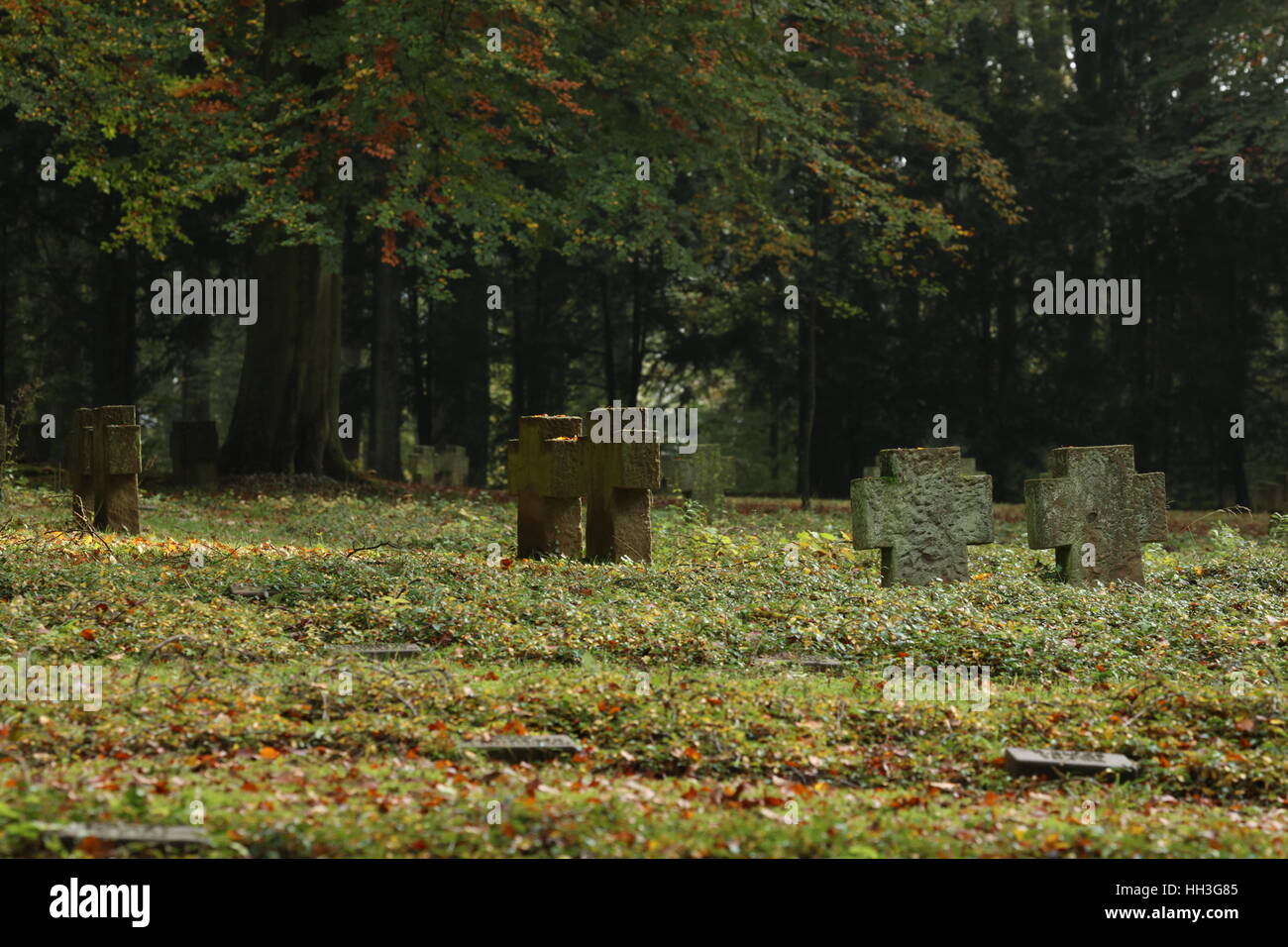 Military cemetery Heidelberg Germany Stock Photo - Alamy