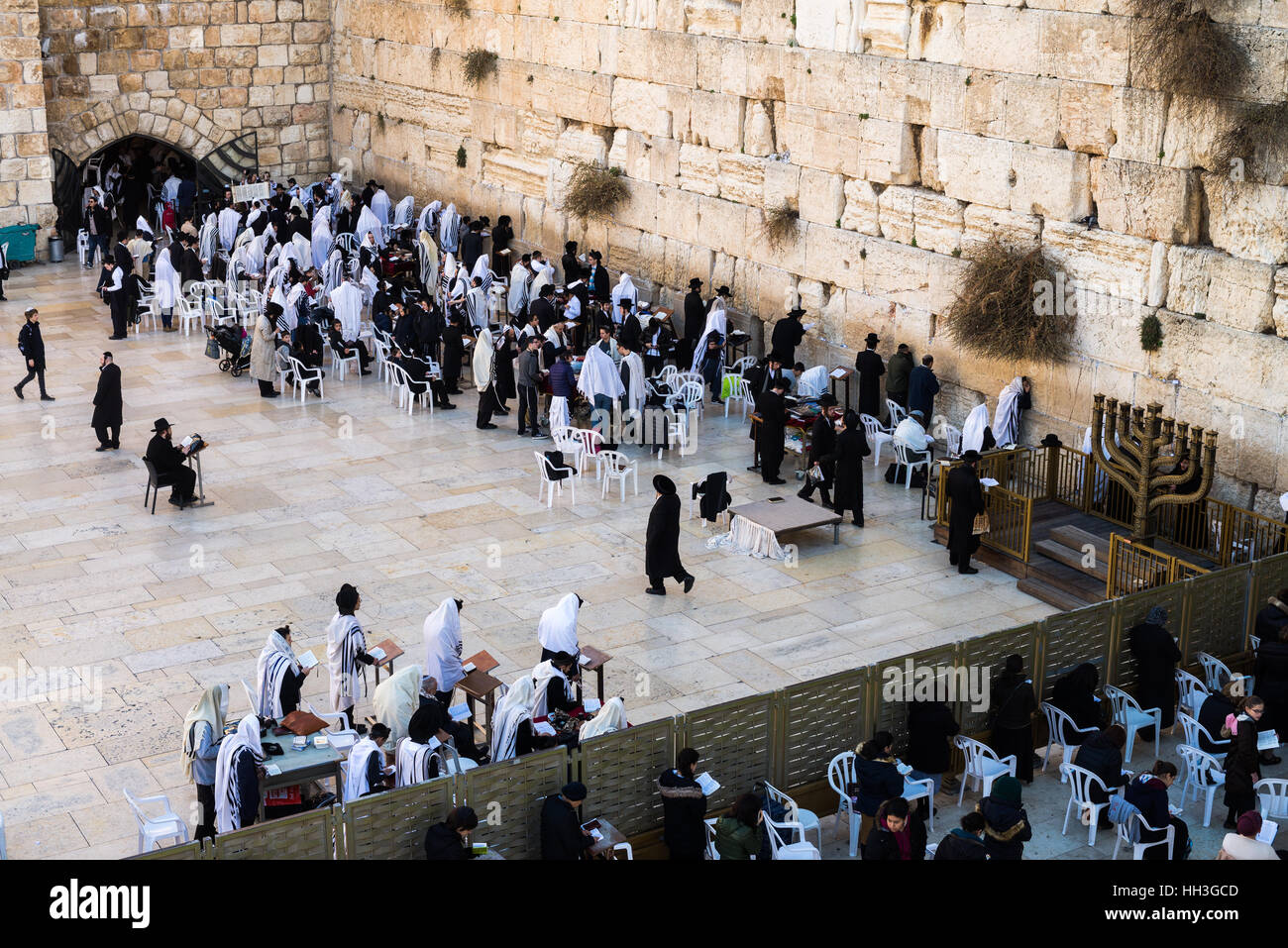 Hasidic Jews praying at the Western Wall, Jerusalem, Israel, Middle ...