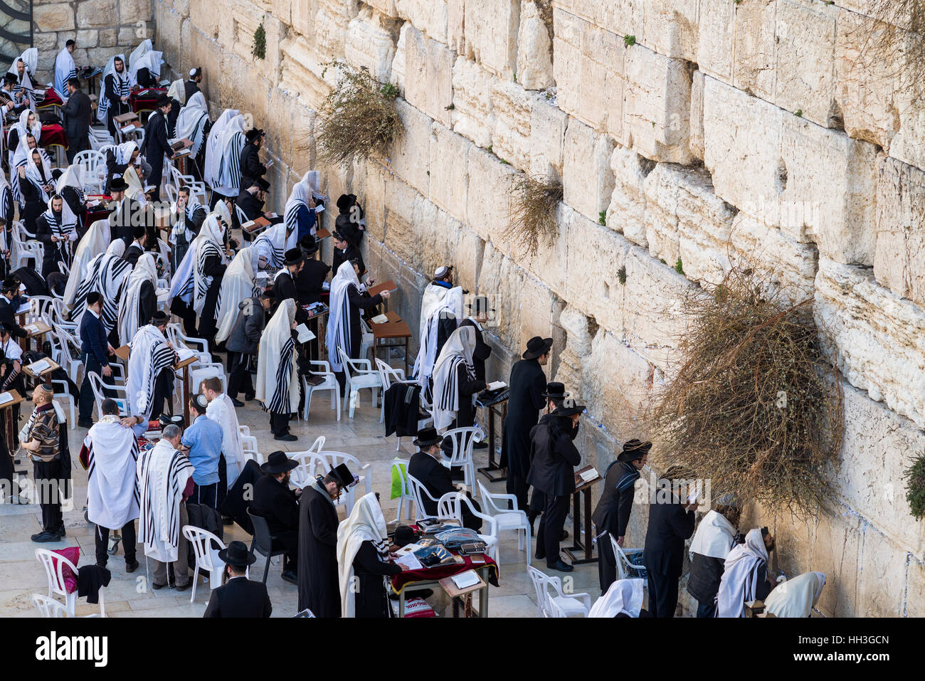 Hasidic Jews praying at the Western Wall, Jerusalem, Israel, Middle ...