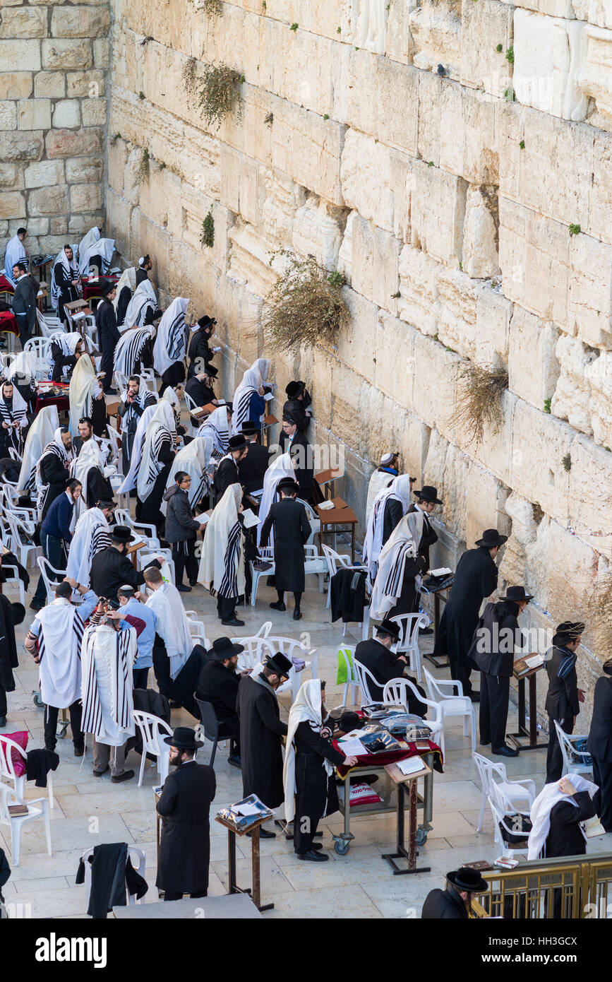 Hasidic Jews praying at the Western Wall, Jerusalem, Israel, Middle ...