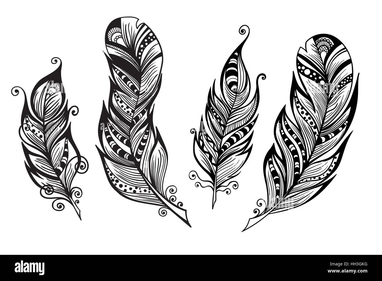 Vector set of four decorative feathers. Vector illustration for your ...