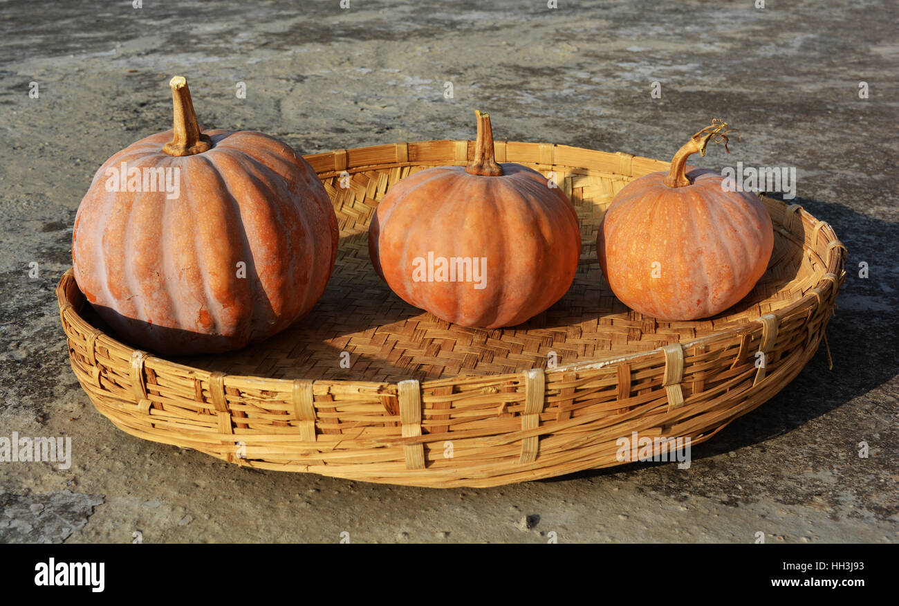 the three pumpkins Stock Photo - Alamy