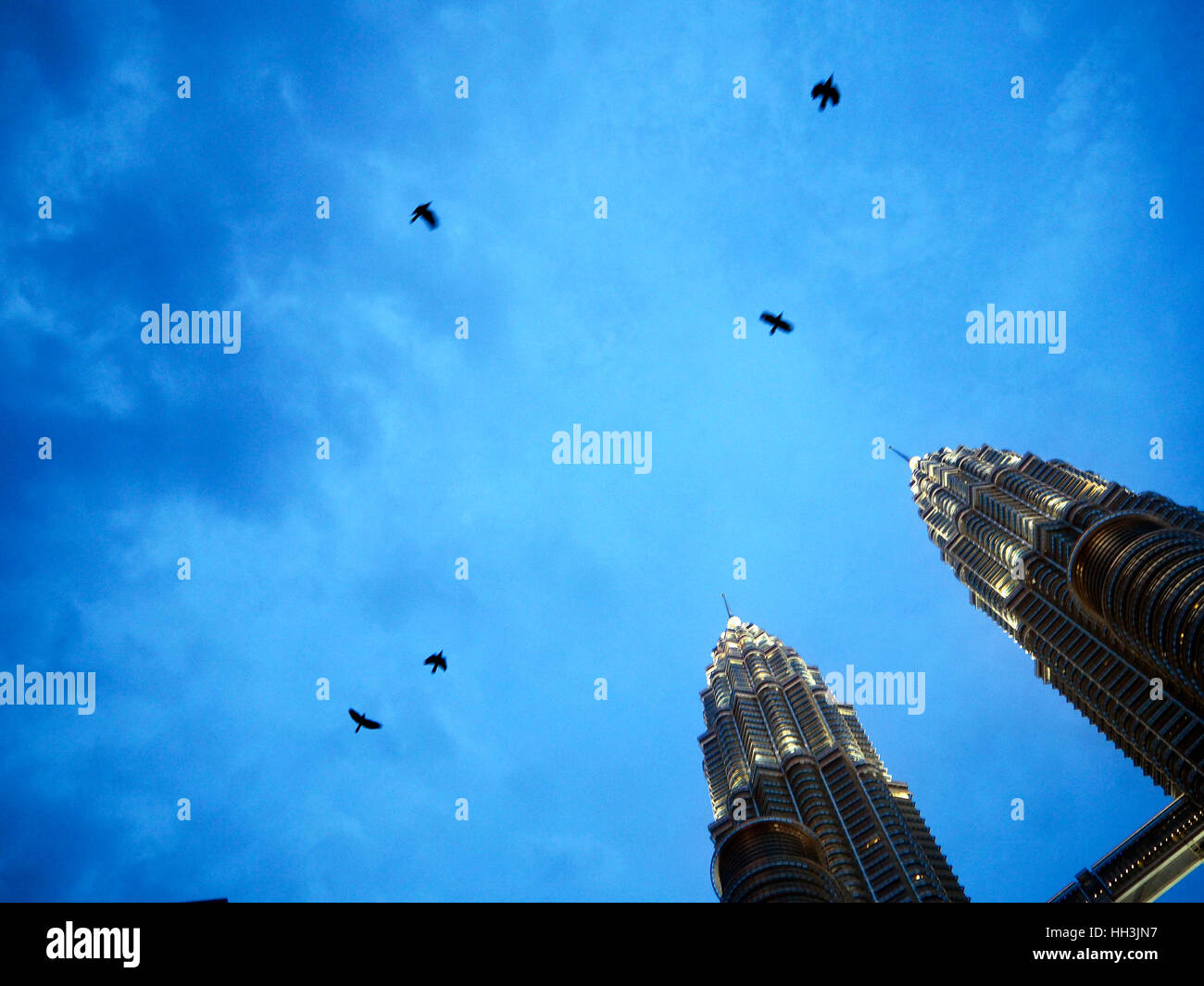 Crow Twin Tower Sky View Concept Stock Photo - Alamy