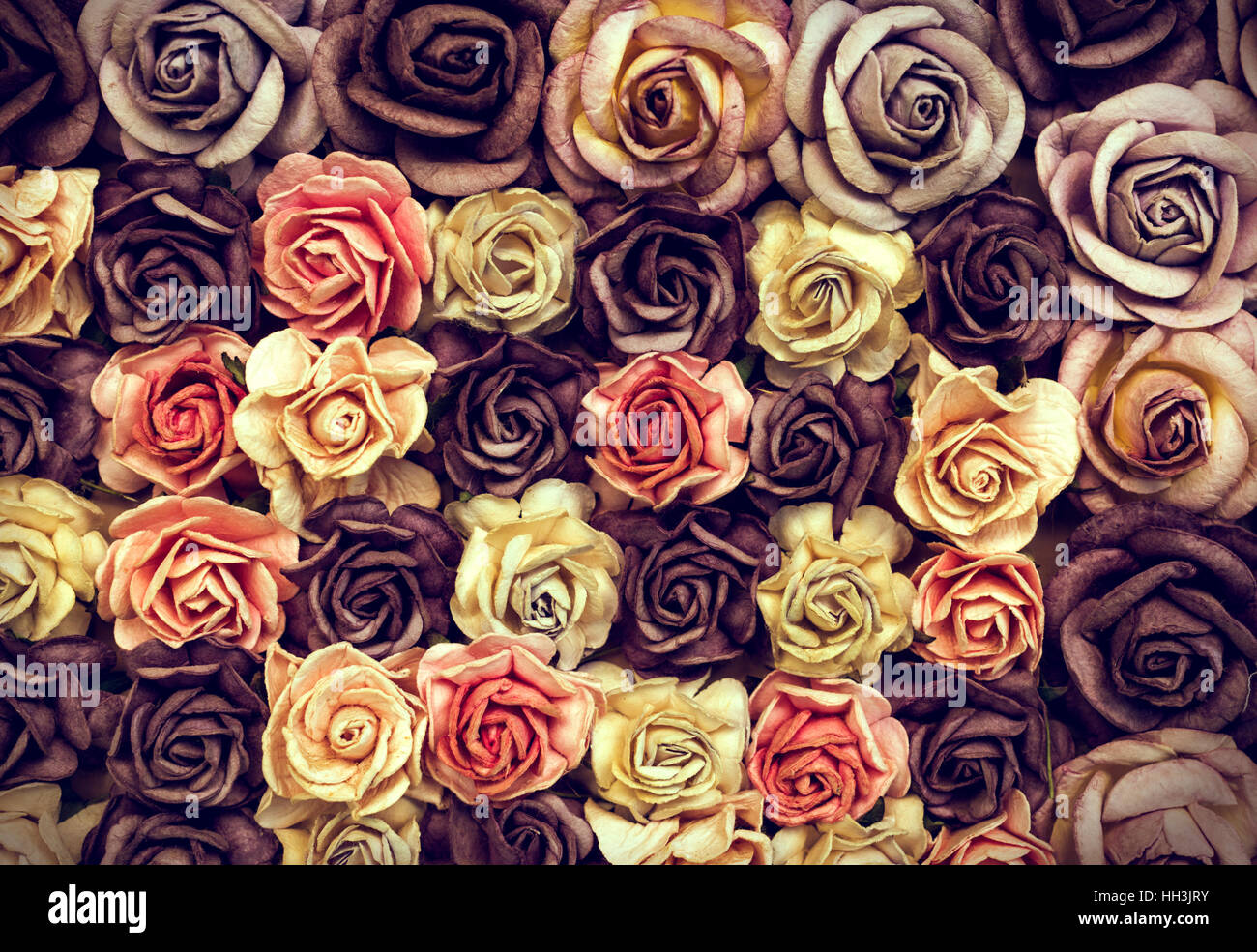 Rose Flower Design Decoration Concept Stock Photo - Alamy