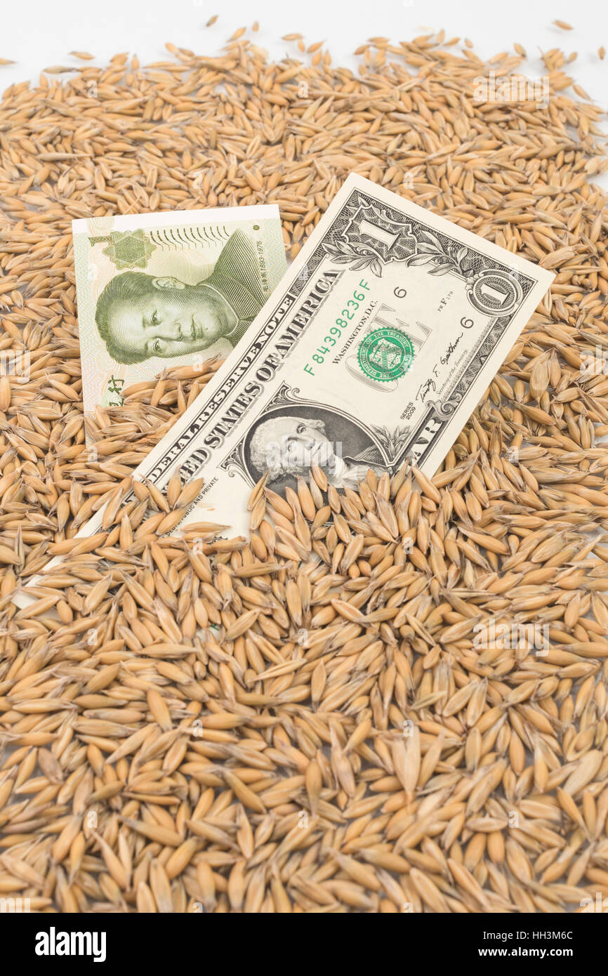 Pile of wheat grain with Chinese 1 Yuan and US Dollar banknote / bills ...