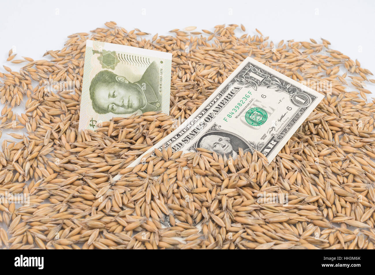 Pile of wheat grain with Chinese 1 Yuan and US Dollar banknote / bills ...