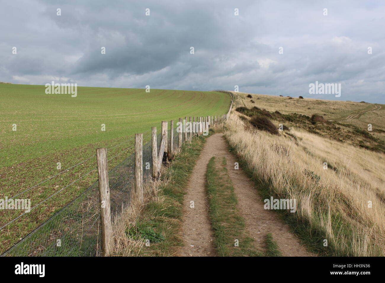 Wire fence between trees hi-res stock photography and images - Alamy
