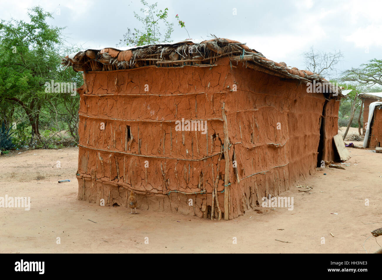 Traditional house of masai in earth and wood in a village of Kenya ...
